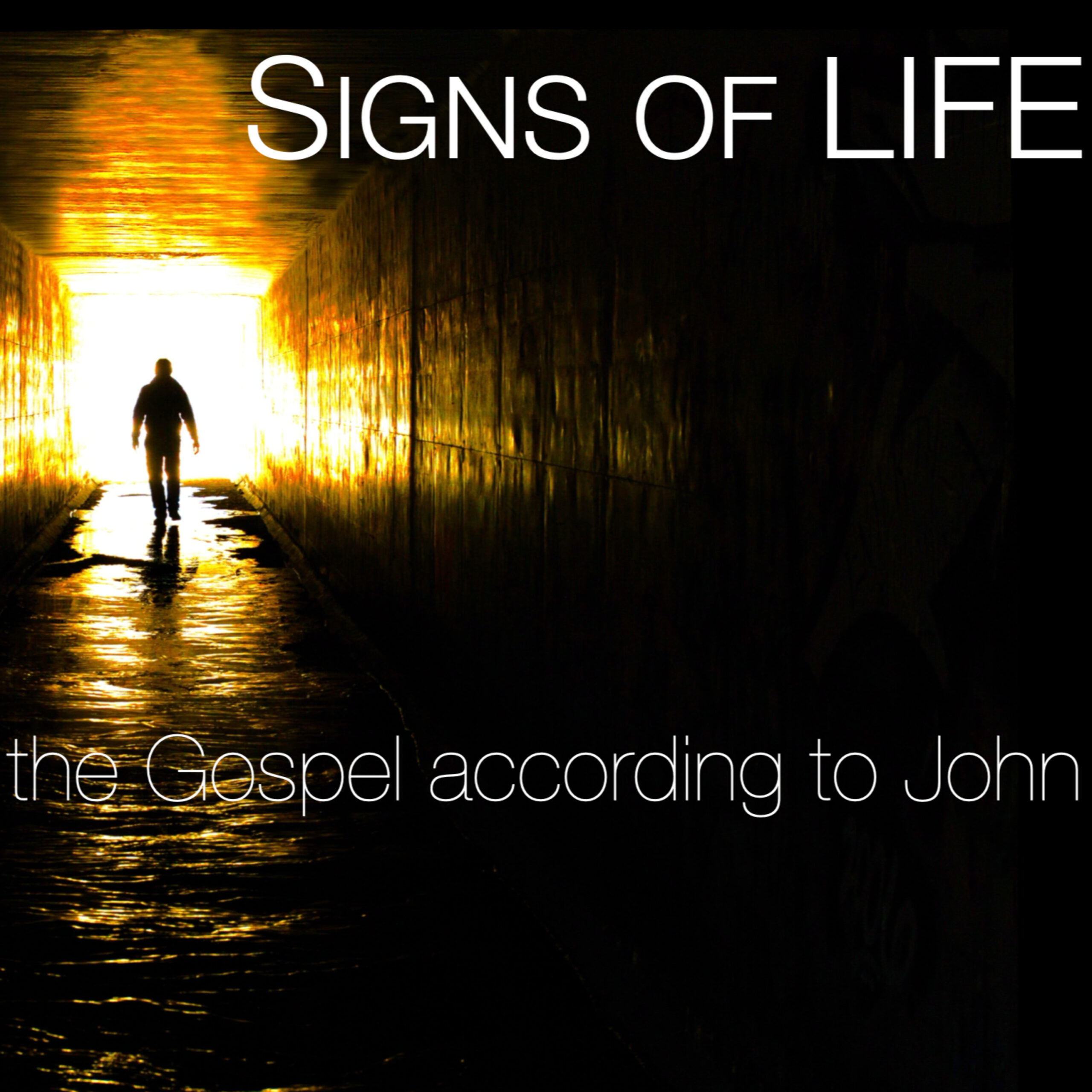 Born From Above? (John 2:23-3:12) - Kenmore Presbyterian Church